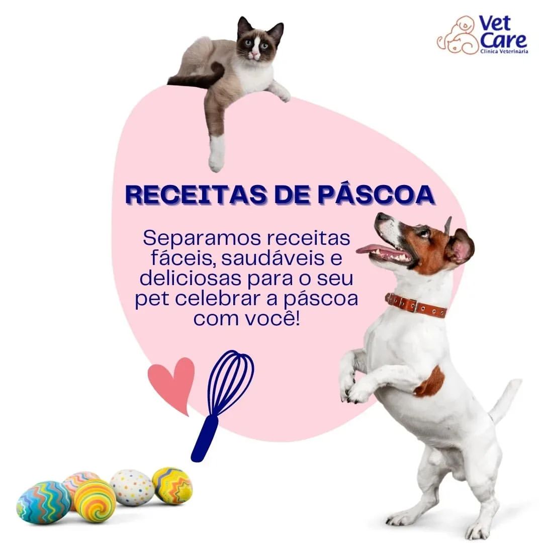 Receitas de páscoa para cães e gatos! - Vet Care | Clínica Veterinária 24h
